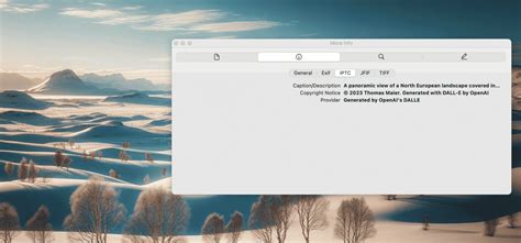 IPTC Copyright Displayed As An Image Caption In WordPress Image Source Control