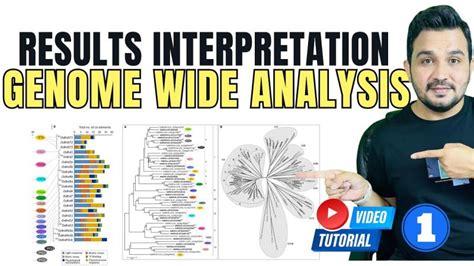 Interpretation Of Genome Wide Analysis Figures And Results Gwa