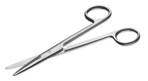 How To Sharpen Mayo Scissors At Alica Tjalkabota Blog