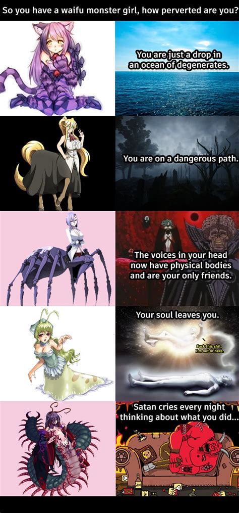 So You Like Monster Girls Goodanimemes