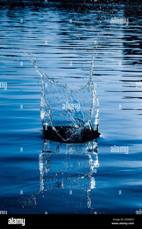 Water Splash Lake Stone Throwing Ripples Water Outdoors Nature Reflection Splash