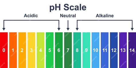 Premium Vector Chart Ph Acidic Neutral And Alkaline Scale Ph Value Scale Chart Indicator
