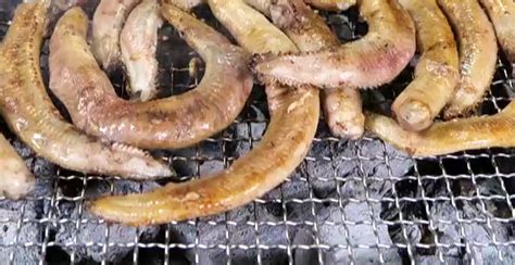 설리아닷컴 돈쭐 곰장어 김포 장어집 볏짚 꼼장어 숯불 민물장어 볏집 제주 흑돼지 오겹살 짚불 구이 철판 양념 먹장어 볶음 바다