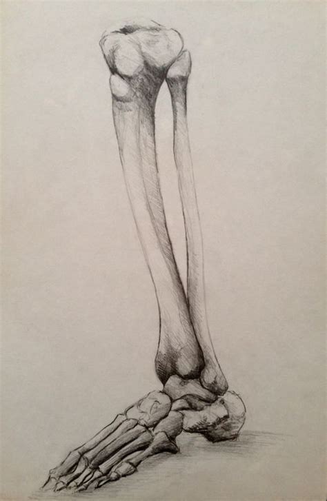 빠른 저장에 있는 임재경님의 핀 신체 해부학 해부학 인체