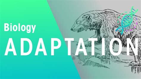 What Is Adaptation Biology For All Fuseschool Youtube