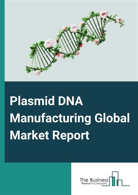 Plasmid Dna Manufacturing Market Analysis And Forecast Report 2025