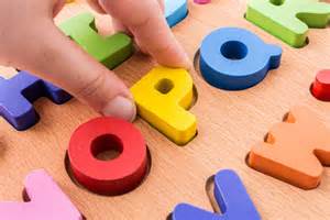 Nucleoid What Is Function And Structure Evidence Network