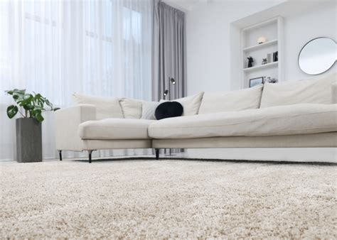 A Comprehensive Guide To Choosing The Perfect Carpet Colour Best4flooring