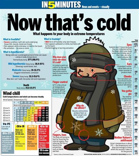 Visual Nice Guide Explaining What Happens To The Human Body In Cold
