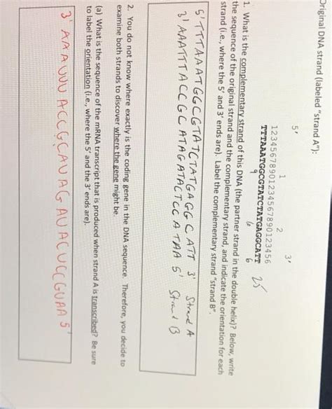Solved B Read Through The MRNA Sequence If You See A Chegg Com
