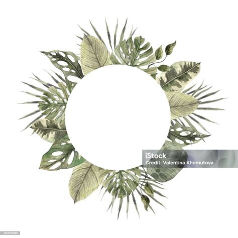 다양한 열대 잎 몬스테라 팬 팜 칼라테아 등의 둥근 프레임 수채화 그림 고립된 배경에 그려진 손입니다 다양한 디자인의 식물 이국적인 잎 개체 그룹에 대한 스톡 벡터 아트 및