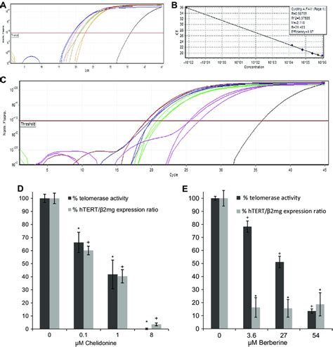 Standard Curve And Amplification Plot Of A Representative Experiment Of