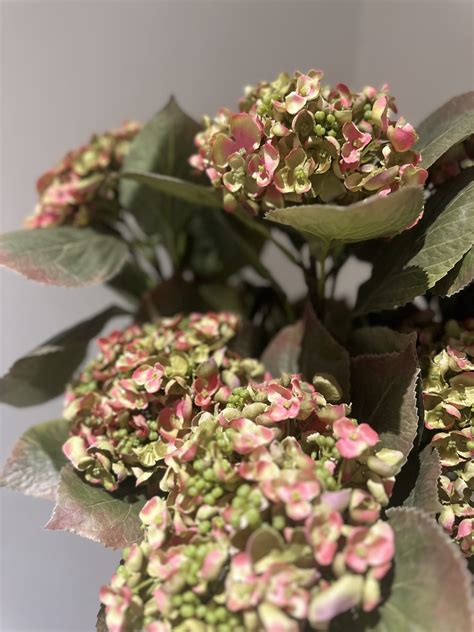 Faux Pinkgreen Hydrangea Stem Kirklands