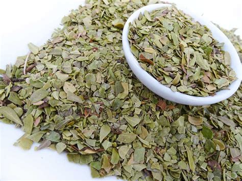Buy Uva Ursi Tea Online Tea Life Australia Tea Life