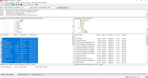 comment déployer 5 api sur linux ubuntu 20 04 nginx linode