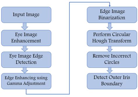 Outer Iris Boundary Detection Steps Download Scientific Diagram