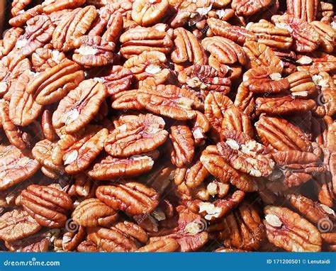 Lot Of Pecan Nuts Kernel Stock Image Image Of Diet 171200501