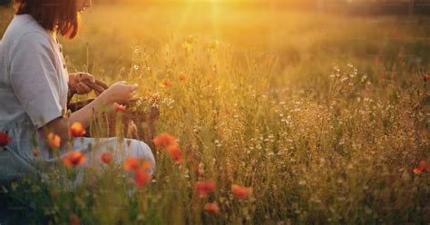 리넨 드레스를 입은 세련된 소녀는 소박한 밀짚 바구니에 꽃을 모으고 석양의 양귀비 초원에 앉아 있습니다 여름 들판에서 따뜻한 저녁 햇살을 받으며 휴식을 취하는 모자를 쓴