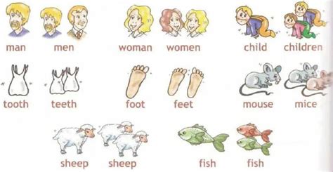 Ordinals Spotlight Wordwall