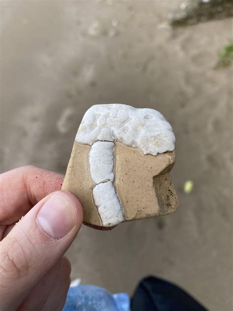 Is This A Crinoid Fossil Rfossilid