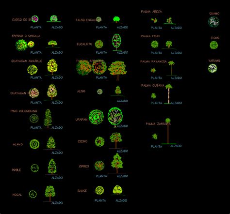 Trees And Top View In DWG CAD Library