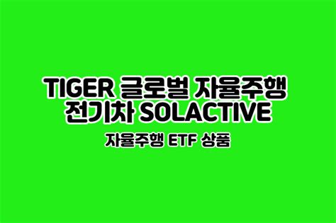 자율주행 Etf Tiger 글로벌 자율주행and전기차 Solactive 정리