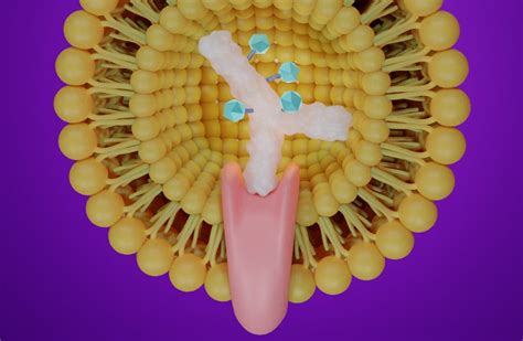 Proteins And Peptides Encapsulation Boc Sciences Boc Sciences