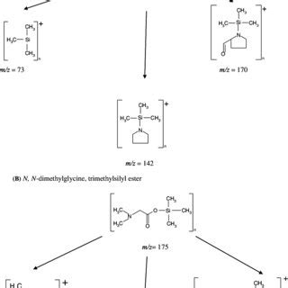 GC MS Chromatogram Obtained With The Use Of Scan Mode For An Extract Of Download Scientific