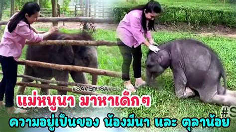 คุณหนูนา กัญจนา ศิลปอาชา มาหา ตุลา และ มีนา ตามไปดูความน่ารัก อยู่เป็น