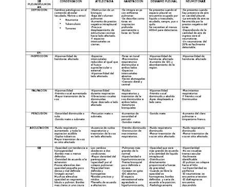 Sx Pleuropulmonar Tabla Comparativa Pdf Pulmón Sistema Respiratorio