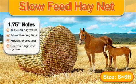 Amazon.com: Gasgimos 6x6ft Round Bale Hay Net for Horses - Large Size Thick & Durable, Black ...