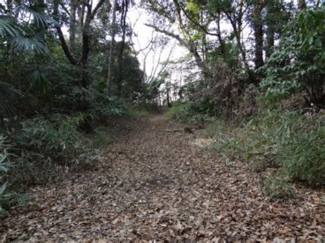 志村城千葉城板橋城篠田城赤塚城の支城栃木の城α
