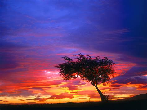 Free Desktop Wallpapersblogger Templatedesktop Wallpaperdesktop