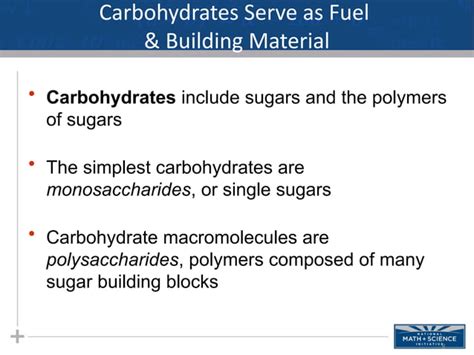 Biology Biological Molecules Macro Structure And Functionpptx