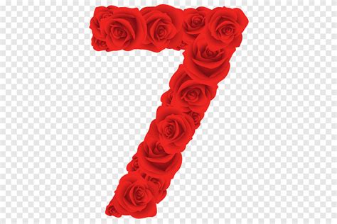 Baixar Ilustra O De Rosa Vermelha Rosas Vermelhas Sete N Mero N Meros Variados De Rosas