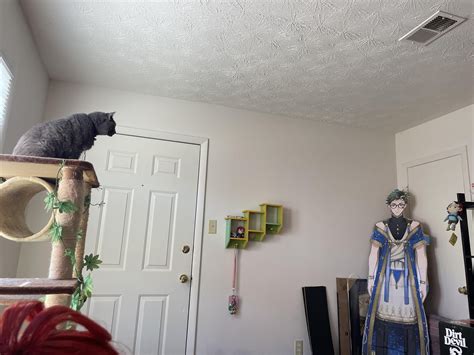 My Roommate Surprised Me In Riddle Cosplay With A Life Sized Trey