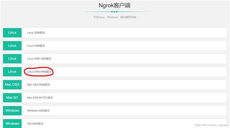 从零开始用树莓派搭建服务器，拥有一个属于自己的网站树莓派服务器 Csdn博客