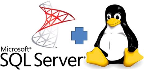 Como Instalar O Sql Server Da Microsoft No Linux