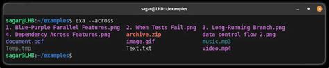 how to use exa command on linux