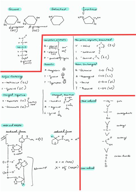 Solution Bs2003 Biochemistry Diagrams Studypool