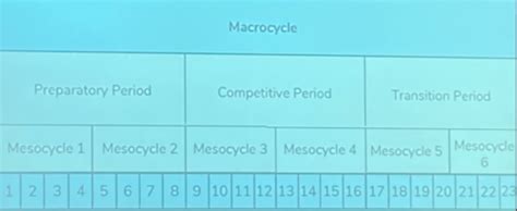 Preparation And Training Anatomy Flashcards Quizlet