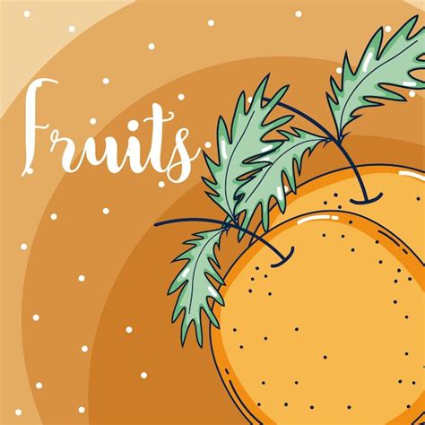 Premium Vector Orange Fruits