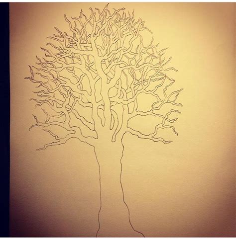 Nr 4 Linus Tree Drawing Drawings Linus
