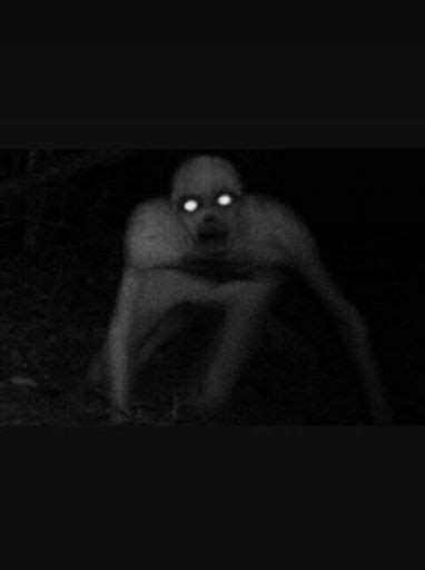 La Historia De The Rake Terror Amino