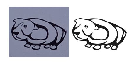 Vectorise Redraw Trace Your Drawing In Adobe Illustrator By Matthgar Fiverr