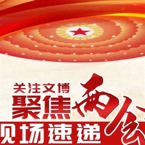 代表委员专访 马萧林委员文博人要不断探索如何让文物活起来更好服务人民 文化 河南博物院 历史