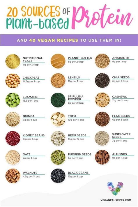 Diet Incorporate Protein Sources Vegan 20 Vegan Protein Sources