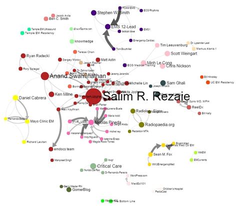 Partial Graphic Depiction Of The Centrality Metrics Of The Top 100