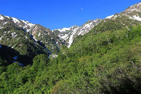 針ノ木岳 登山黒部湖と立山連峰を眺める後立山の展望台 登山百景