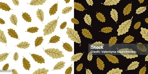 흰색과 검은 색 배경에 오크 잎 식물 원활한 패턴 벡터 그림 템플릿입니다 0명에 대한 스톡 벡터 아트 및 기타 이미지 0명 10월 9월 Istock